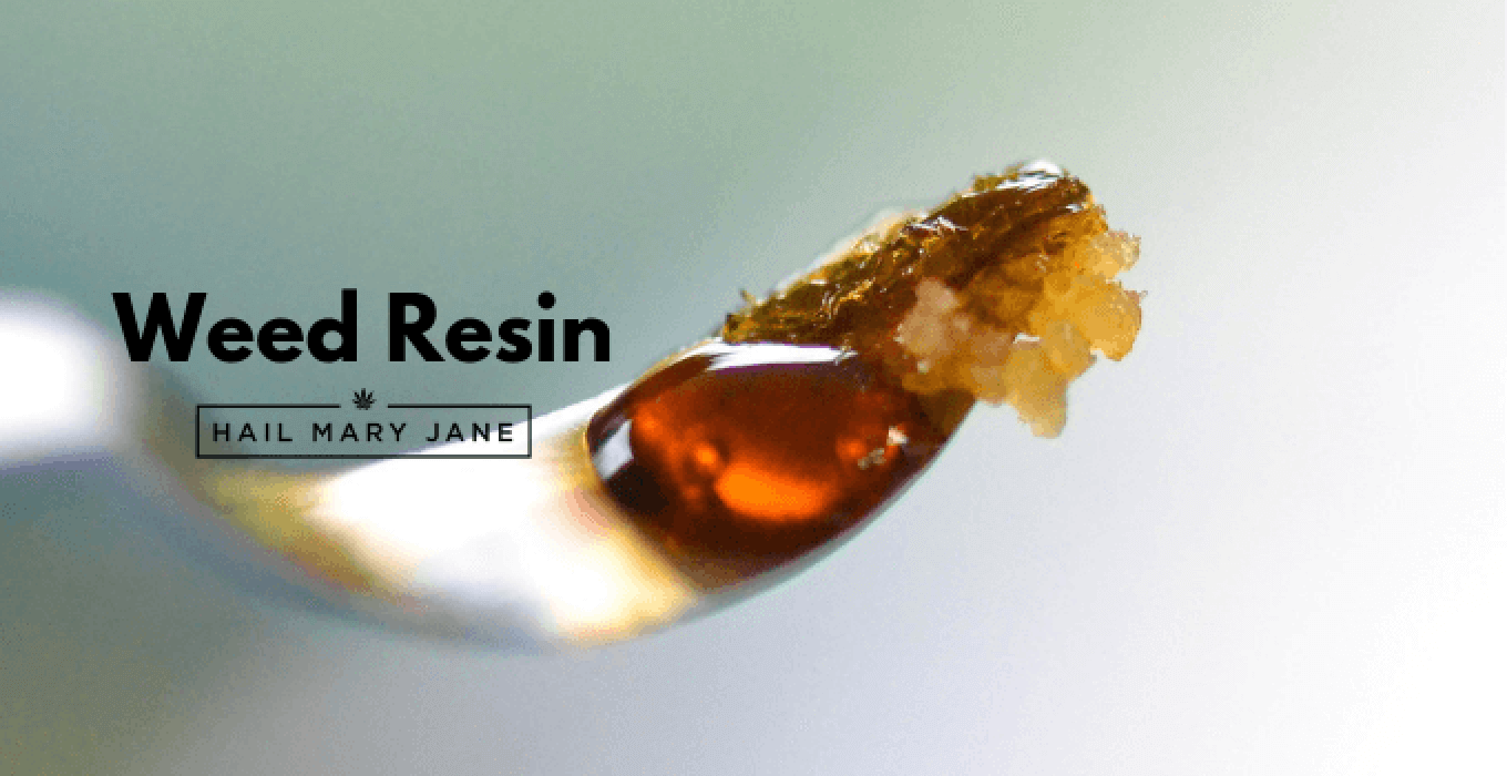 What is Cannabis Resin & How is it produced? - Hail Mary Jane