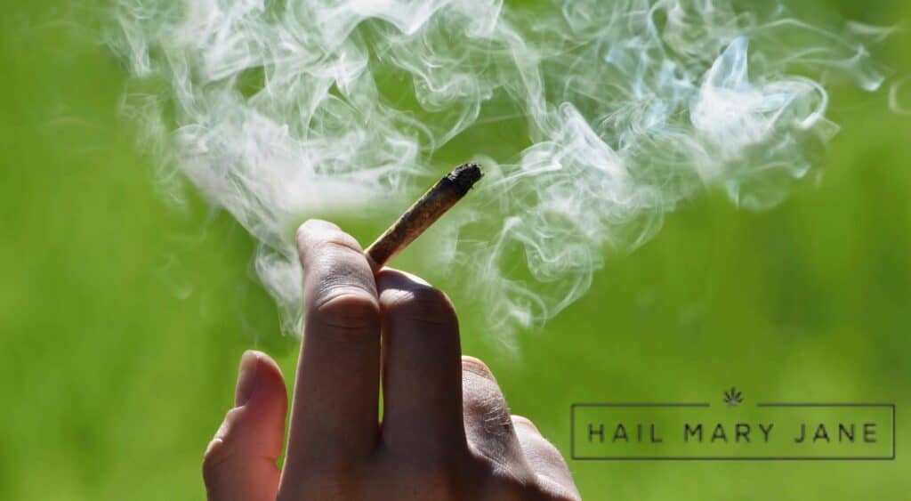How Many Mg Of THC Is In A Joint Hail Mary Jane How Many Mg Of THC Is In A Joint Hail Mary Jane