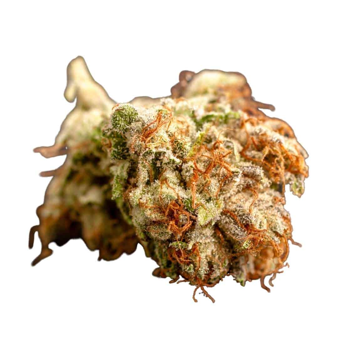 Zaza Strain: Effects, Reviews, & More - Hail Mary Jane Zaza Strain: Effects, Reviews, & More - Hail Mary Jane