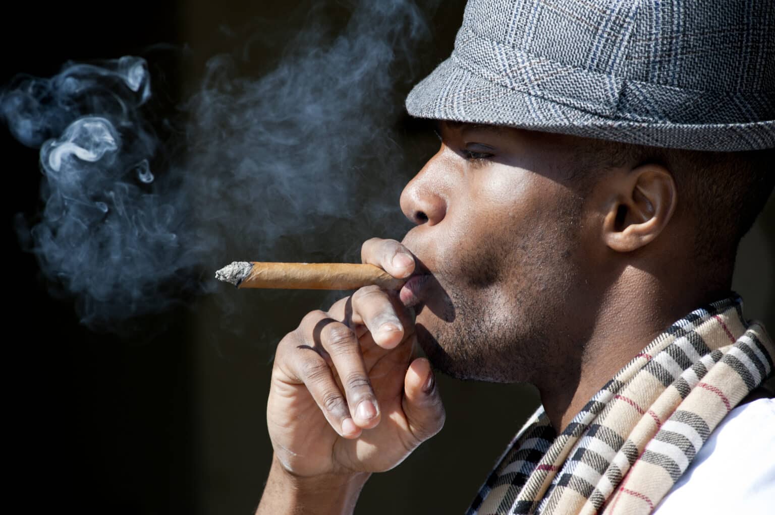 Weed & Cannabis Cigars: 4 Best Marijuana Cigars Reviewed [2022]